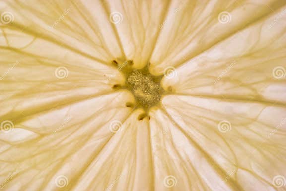 Lemon, Cross Section, Structure, Pattern, Background, Color, Veg Stock ...