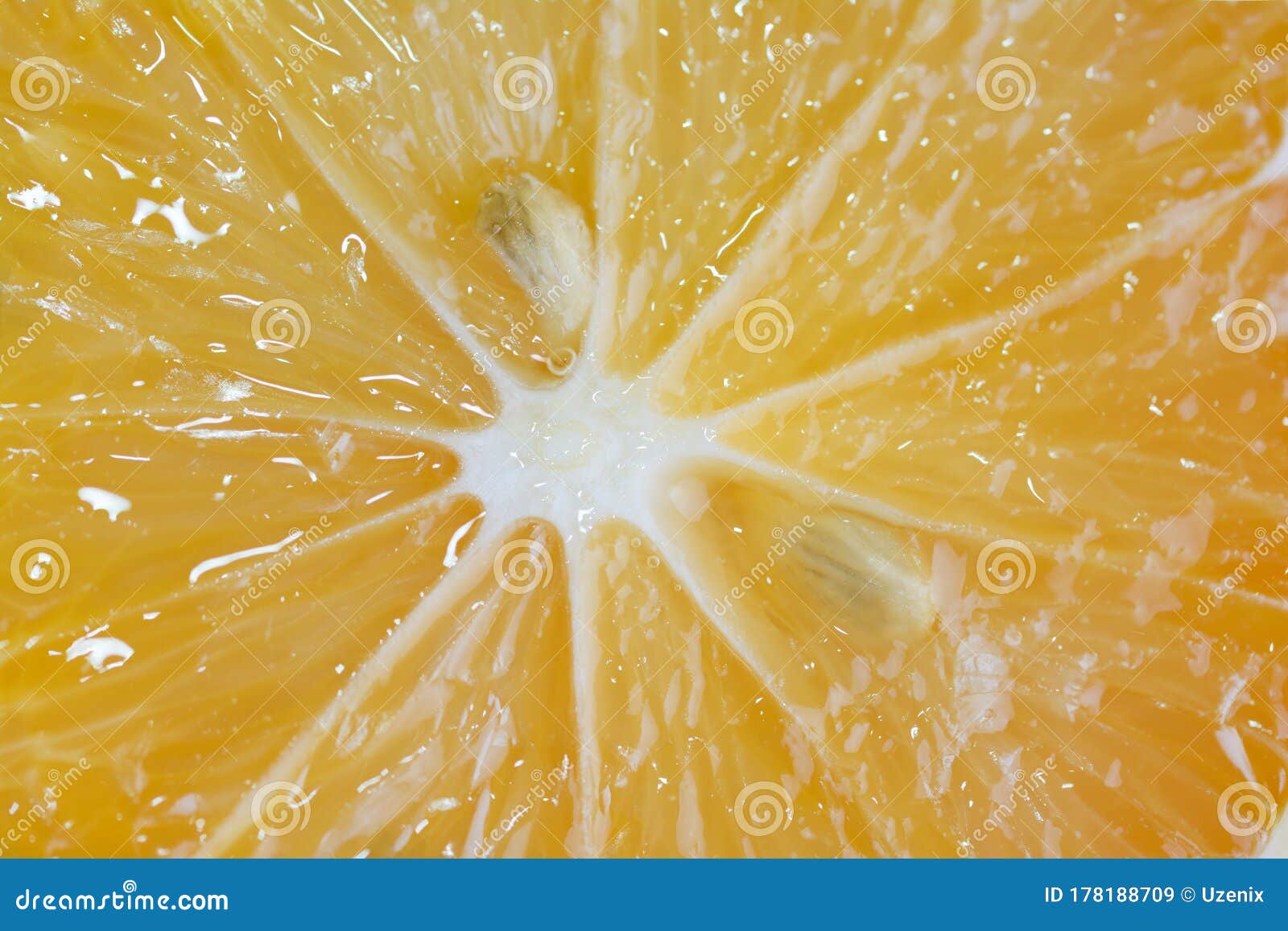 The Lemon is Cut, Close Up. the Texture of the Pulp Stock Image - Image ...