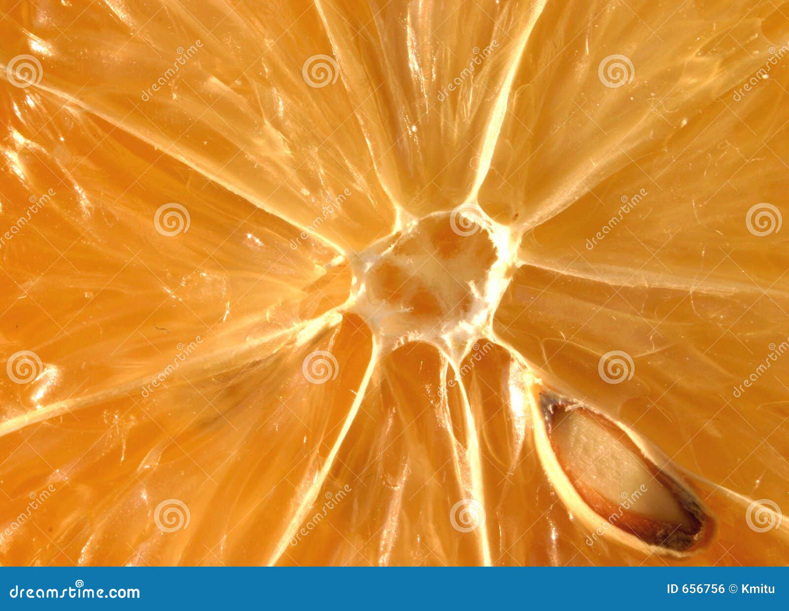 Lemon details stock photo. Image of texture, lemons, flesh - 656756