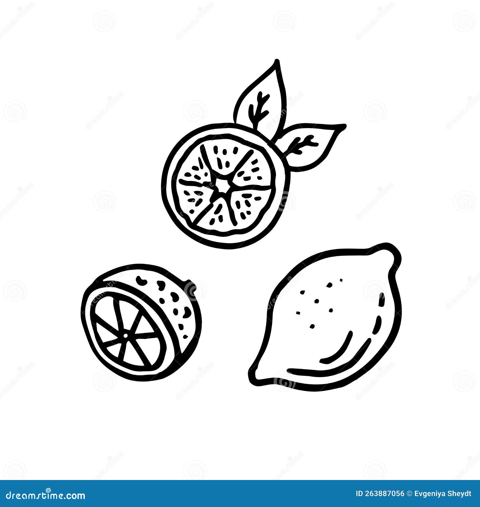 Lemon Doodle Illustrations Set in Vector. Hand Drawn Lemon ...