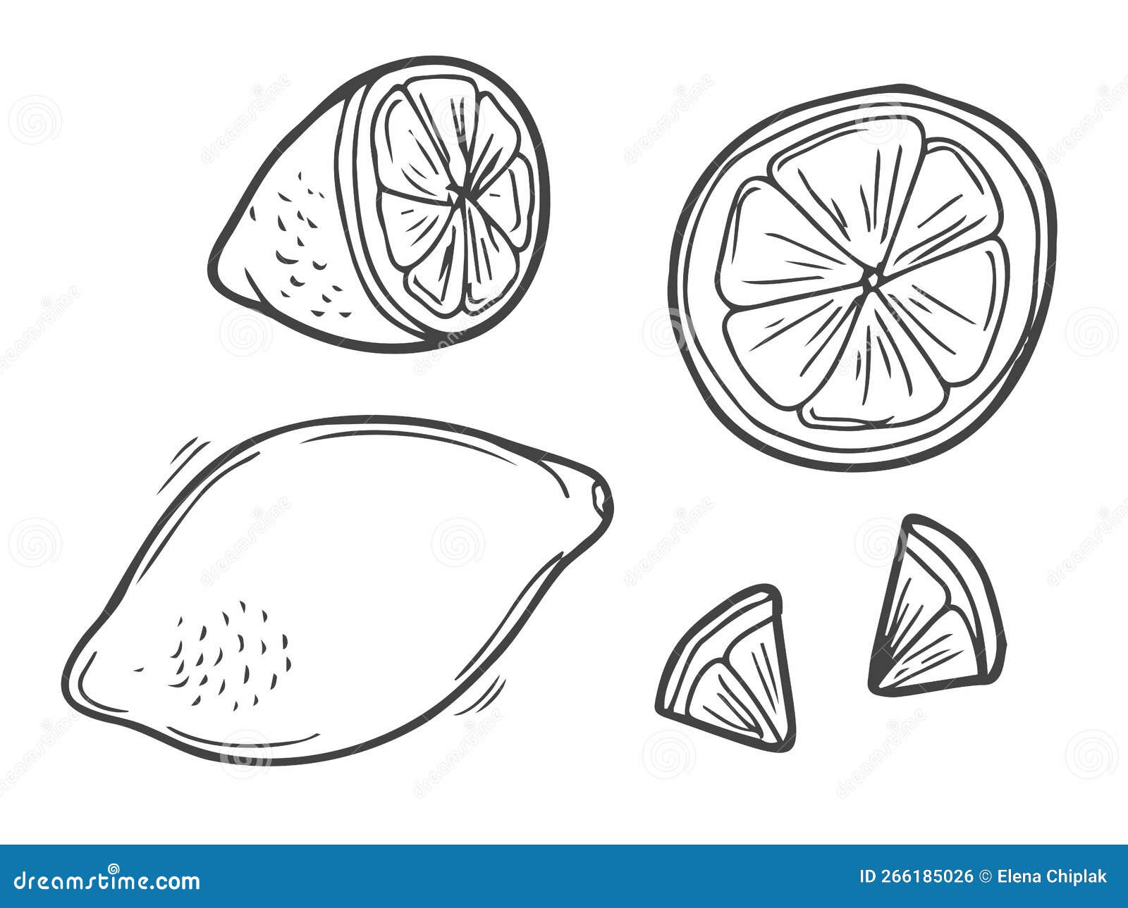 Lemon Doodle Illustrations Set in Vector. Hand Drawn Lemon ...