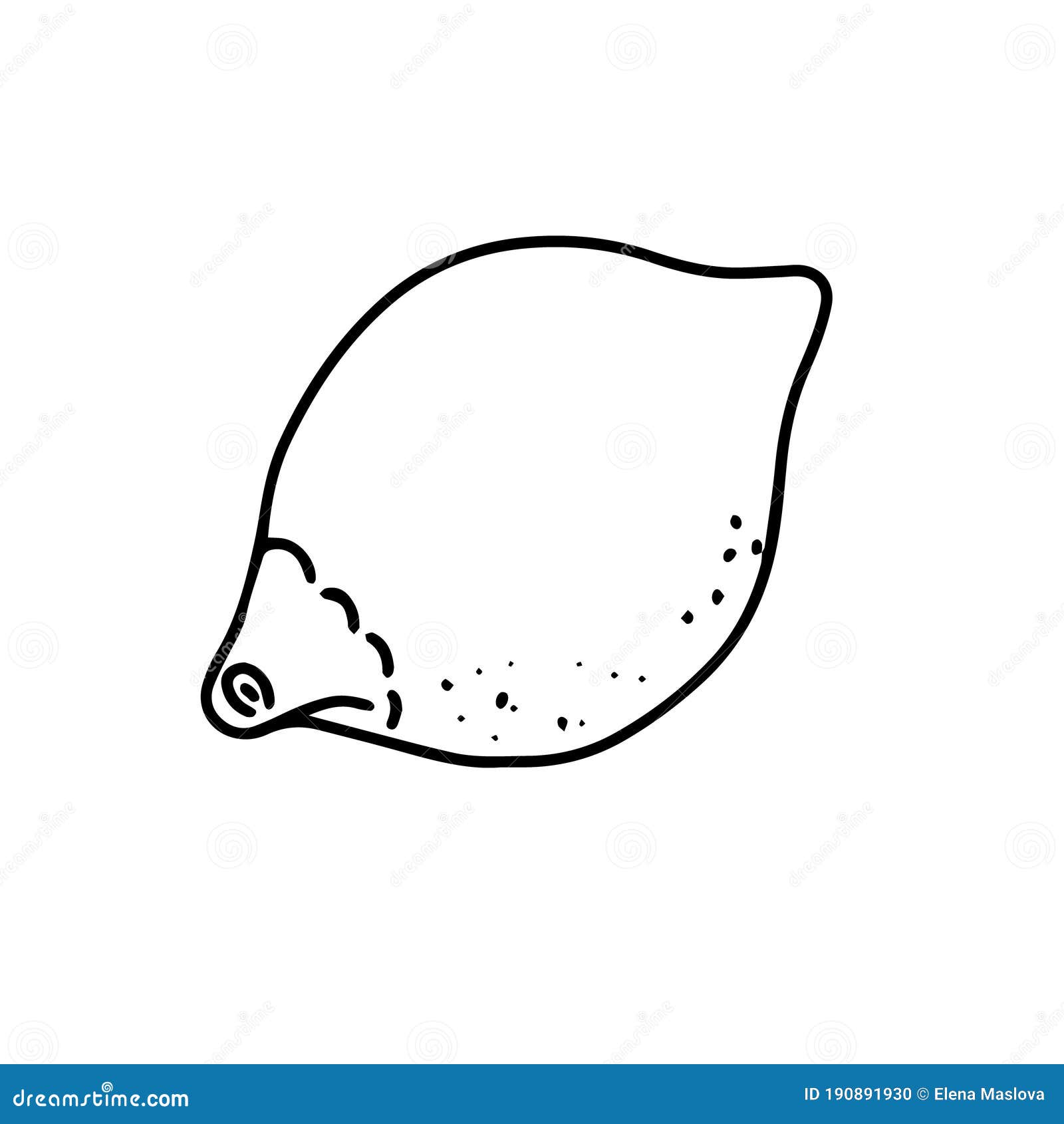 Lemon Doodle Vector Hand Drawn Illustration. Web Element for Menu ...