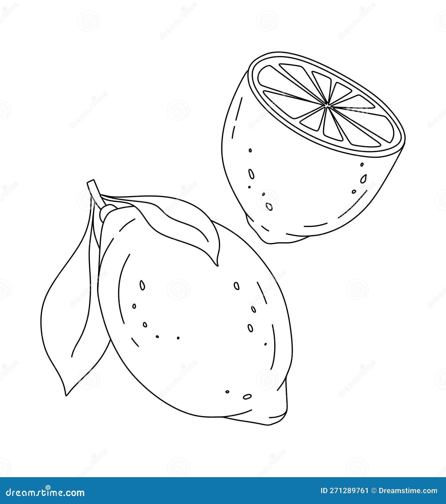 Lemon Doodle Vector Illustration Coloring Book for Kids Stock Vector ...