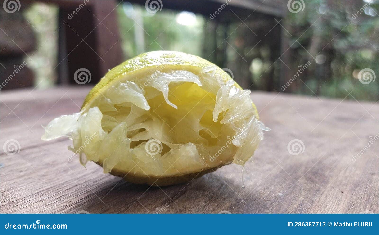 Lemon Dragon Lifestyle Vegetable Stock Image - Image of vegetable ...