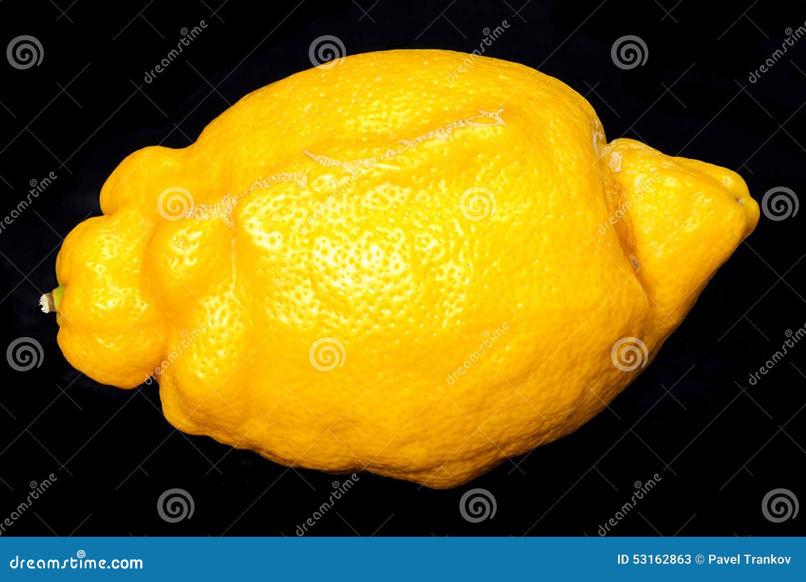 Lemon stock image. Image of black, fruit, circle, tropical - 53162863