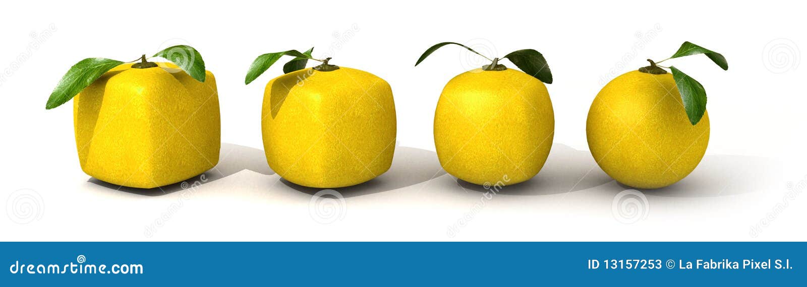 Lemon evolution stock illustration. Illustration of genetics - 13157253