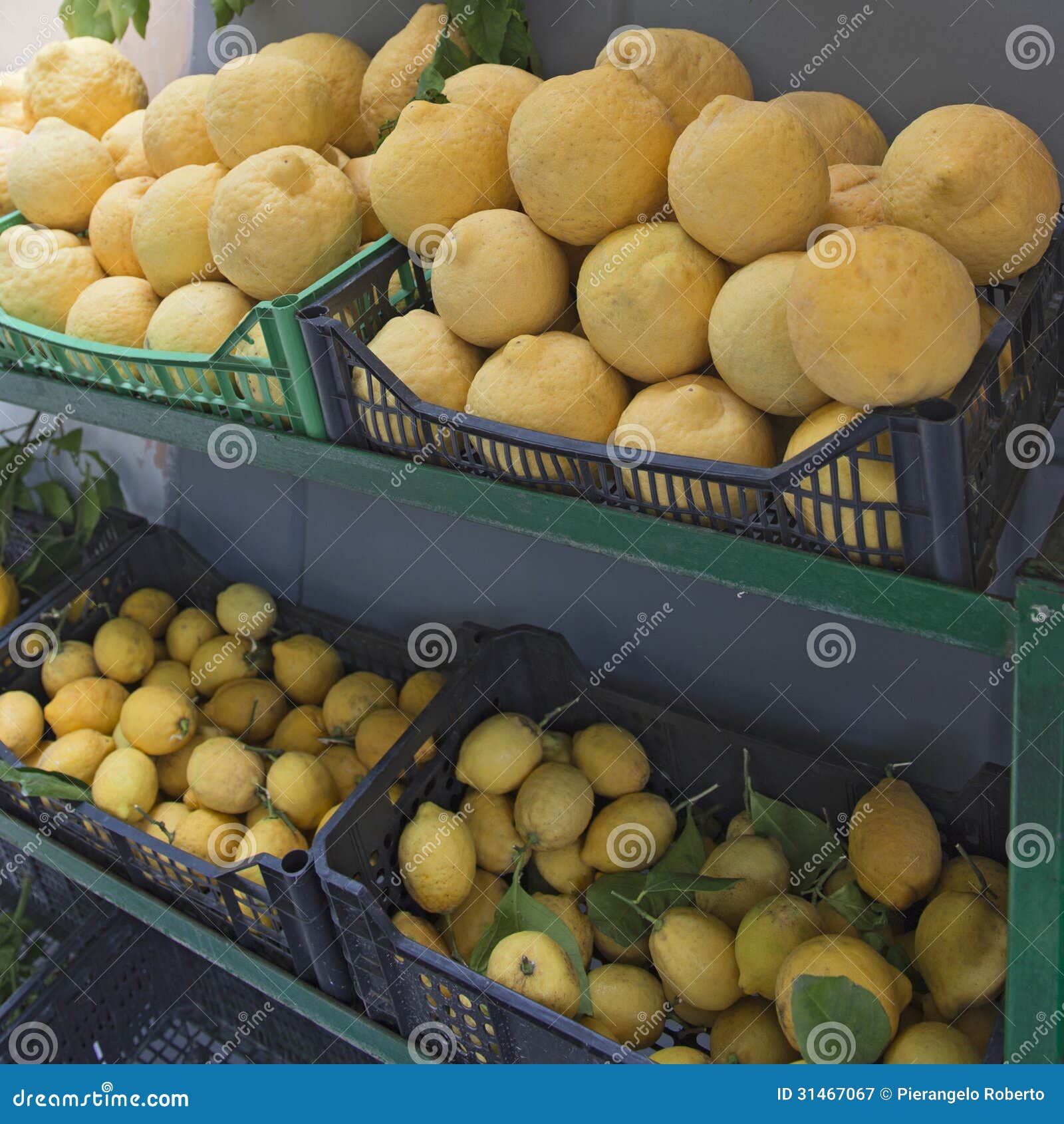 Lemon stock image. Image of lemons, coastal, yellow, coast - 31467067