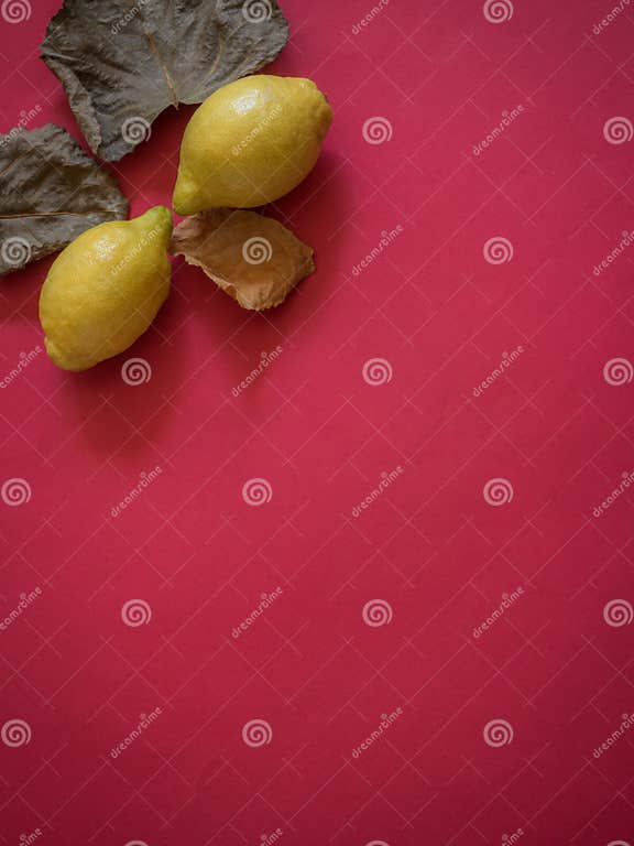 Lemon and Fall Leaves on Red with Copy Space Stock Photo - Image of ...