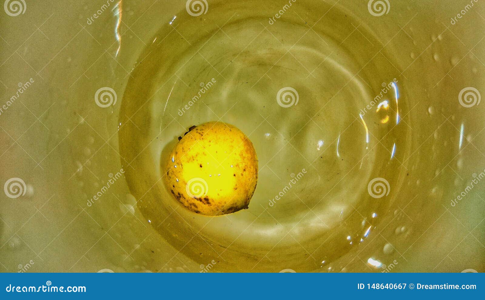 Lemon fall on the water stock image. Image of shine - 148640667