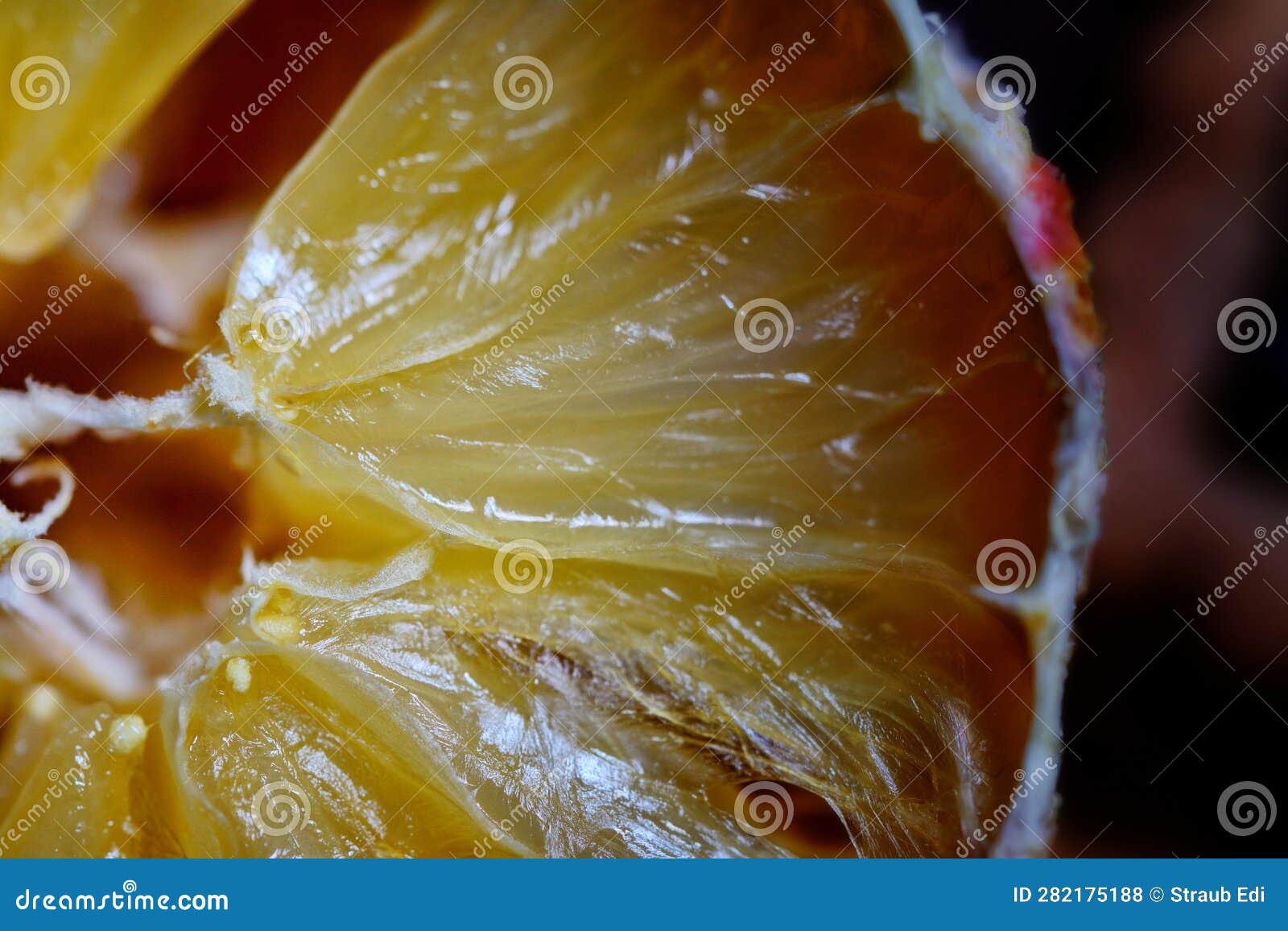 Lemon Fiber and Seeds Closeup Stock Photo - Image of seeds, fiand ...