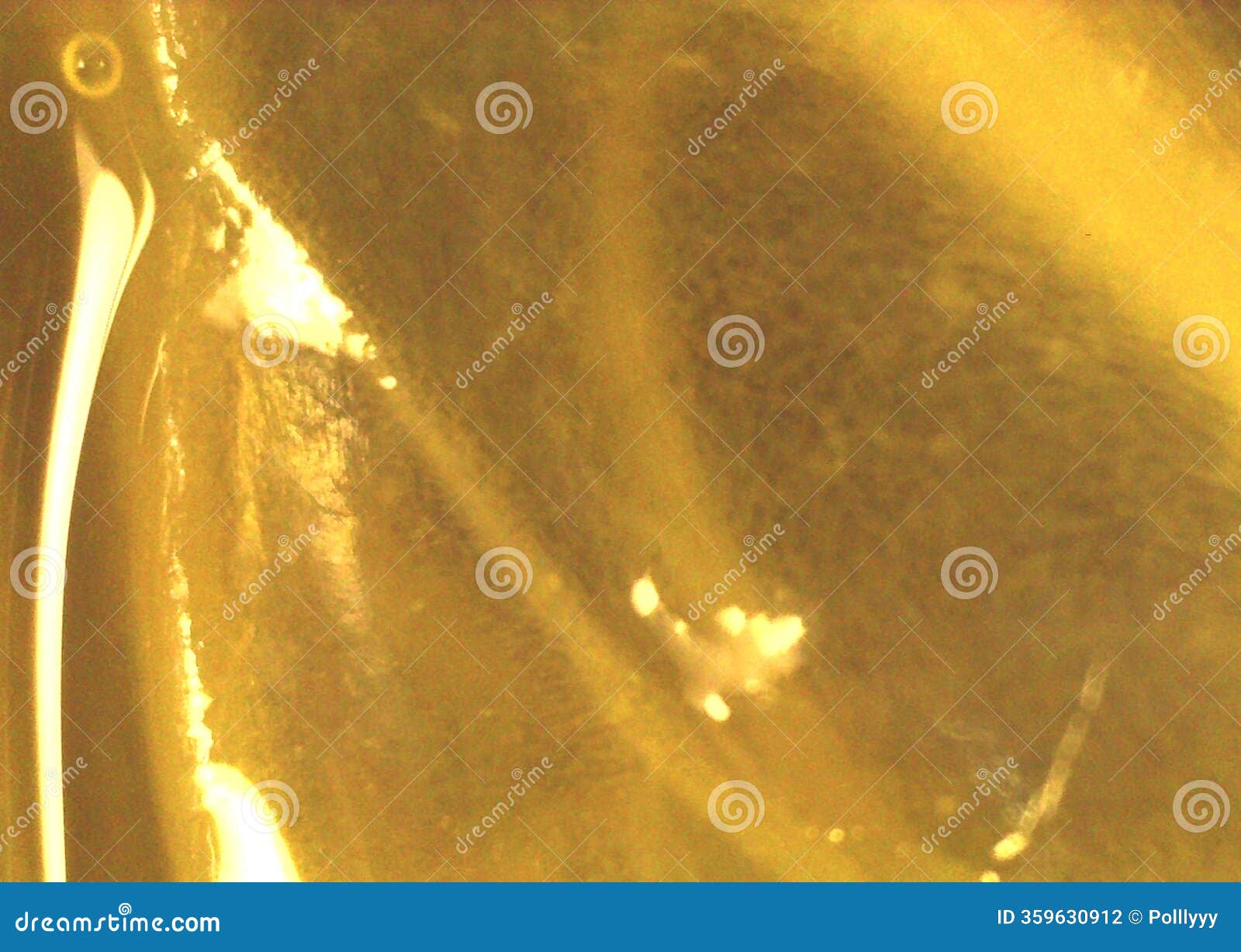 Lemon, Food. Image Under the Microscope, Micro Photography. Science ...