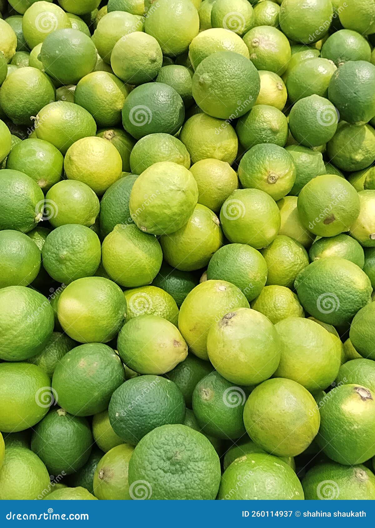 Lemon fresh stock image. Image of yellow, citrus, green - 260114937
