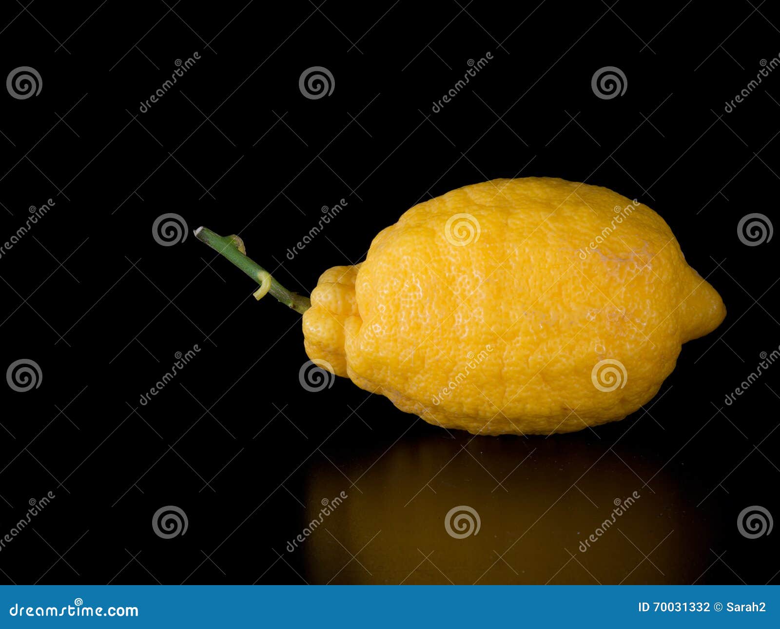 Lemon Fruit on Black with Stem. Unwaxed. Stock Photo - Image of unwaxed ...