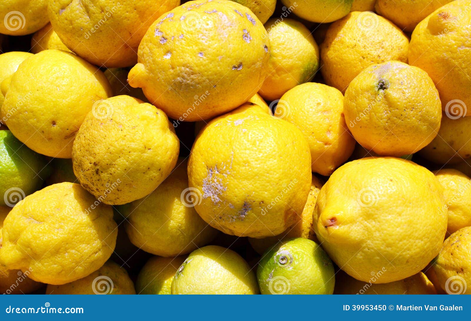 Lemon fruit. stock photo. Image of yellow, lemonade, greece - 39953450