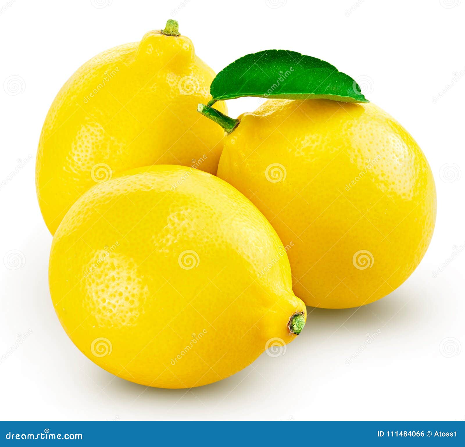 Lemon fruit leaf stock photo. Image of peel, fruit, refreshing - 111484066