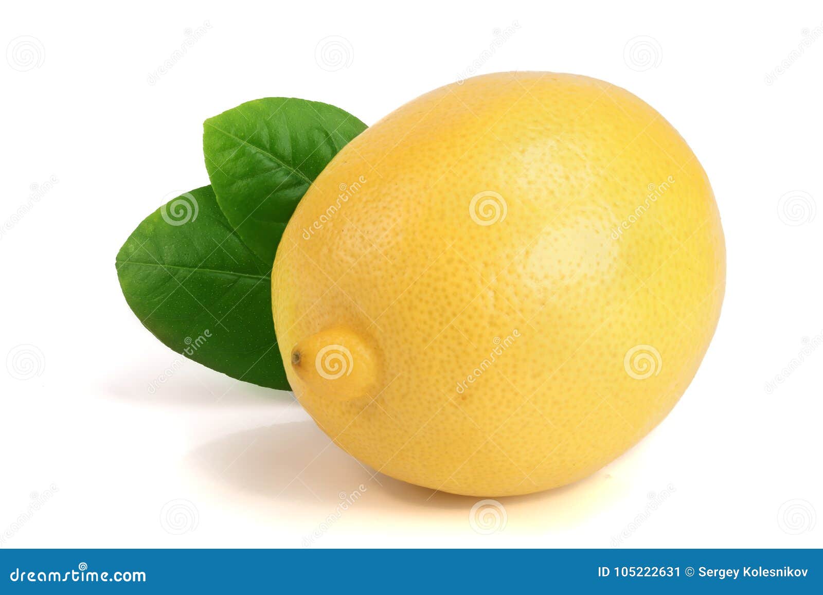 Lemon Fruit with Leaf on White Background Stock Image - Image of diet ...
