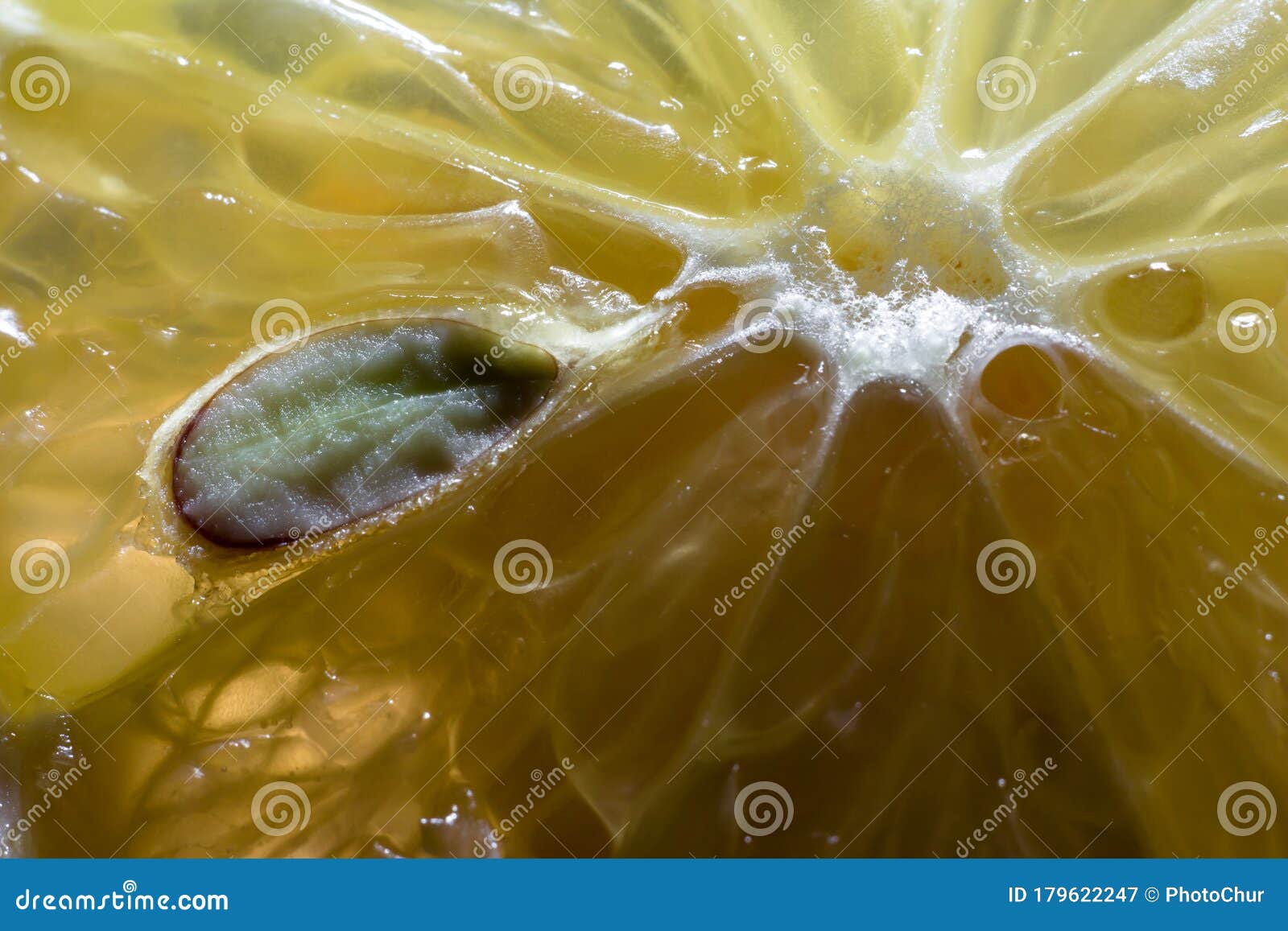 Closeup Slice of a Lemon Fruit with a Seed Stock Image - Image of lemon ...