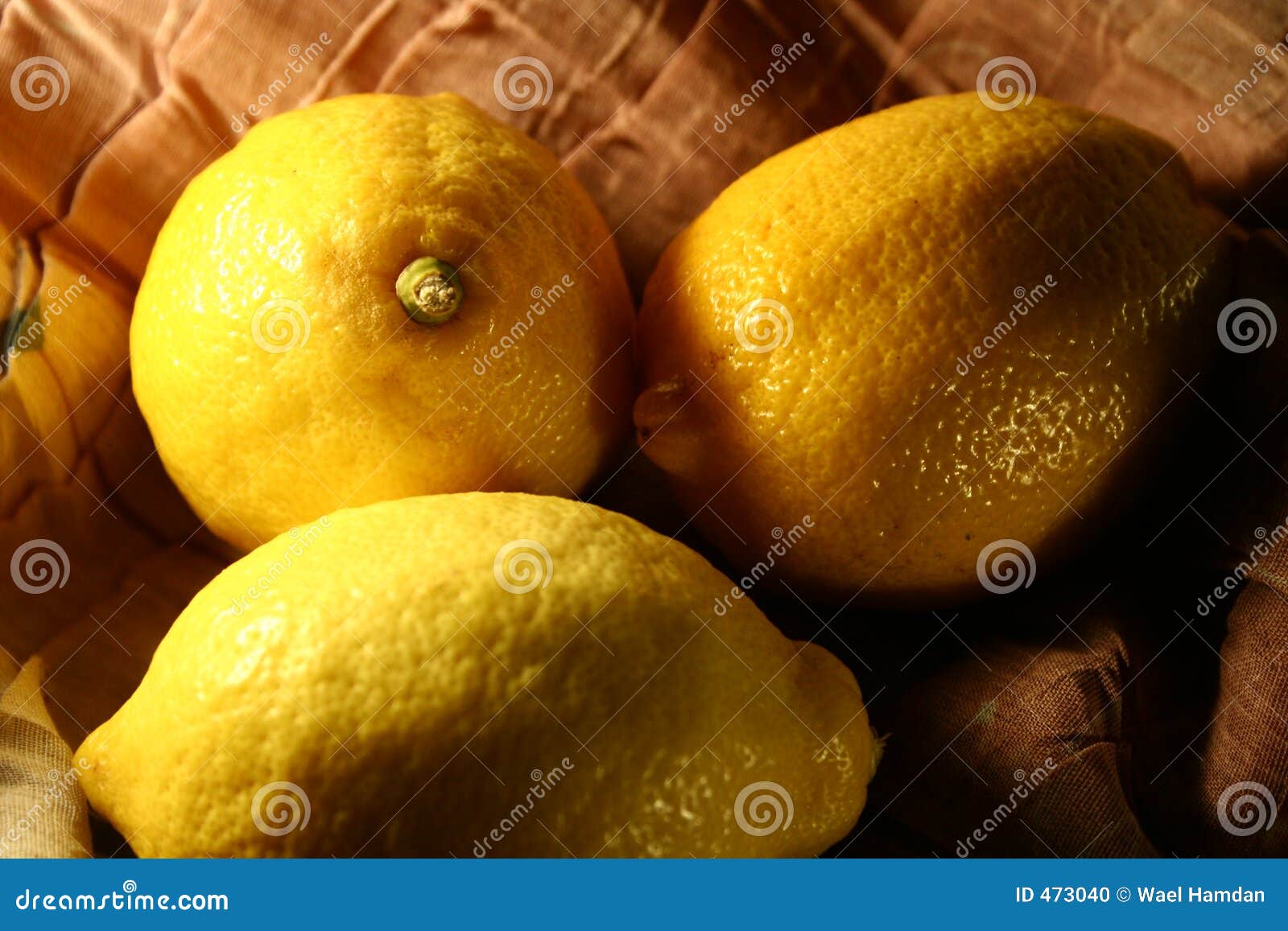 Lemon fruits stock photo. Image of fruits, soft, nature - 473040