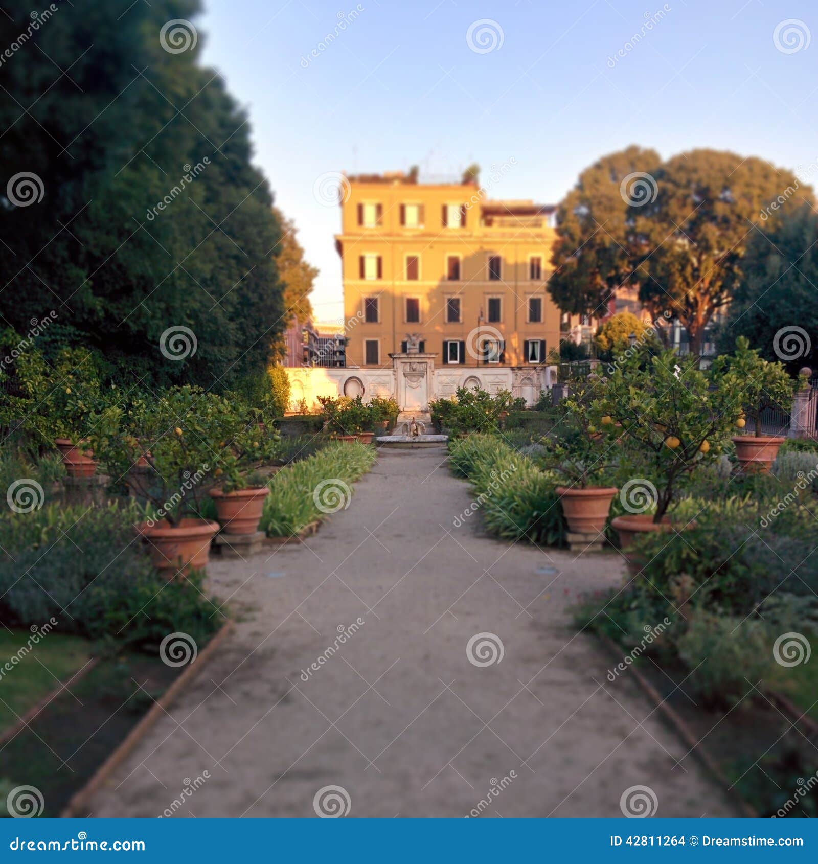 Lemon Garden Villa Borghese Stock Photo - Image of borghese, lemon ...