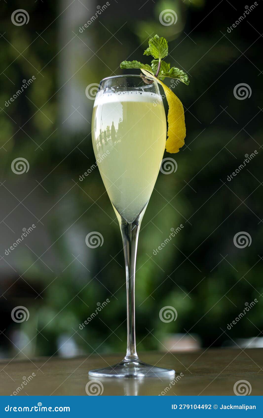 Lemon and Grapefruit with Egg White Citrus Spritzer Cocktail Stock ...