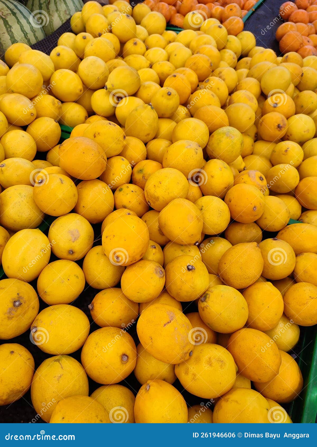 The lemon on grocery fruit stock photo. Image of fruit - 261946606
