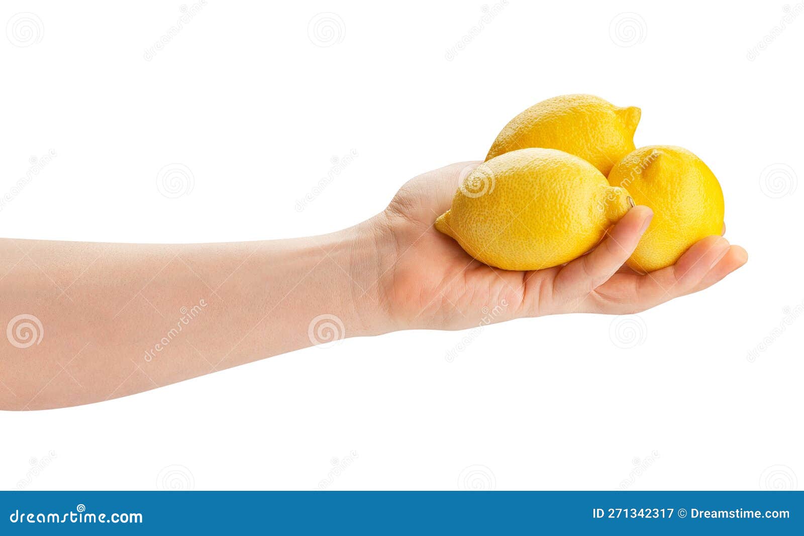 Lemon group in hand stock image. Image of lemon, nutrient - 271342317