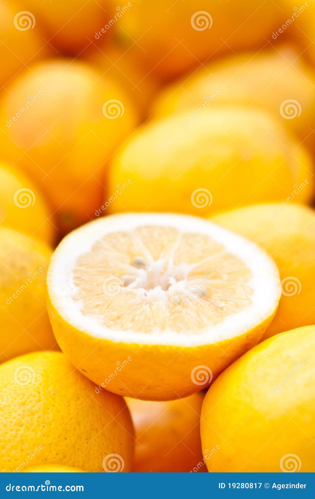 Lemon half stock image. Image of sliced, food, yellow - 19280817