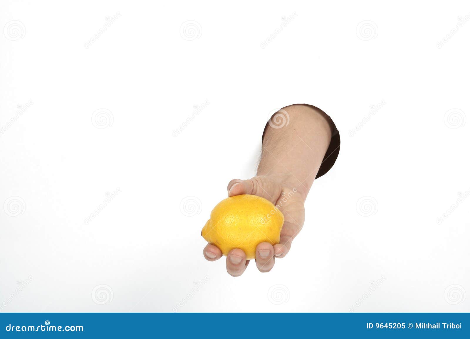 Lemon hand stock image. Image of fruit, vitamin, fresh - 9645205