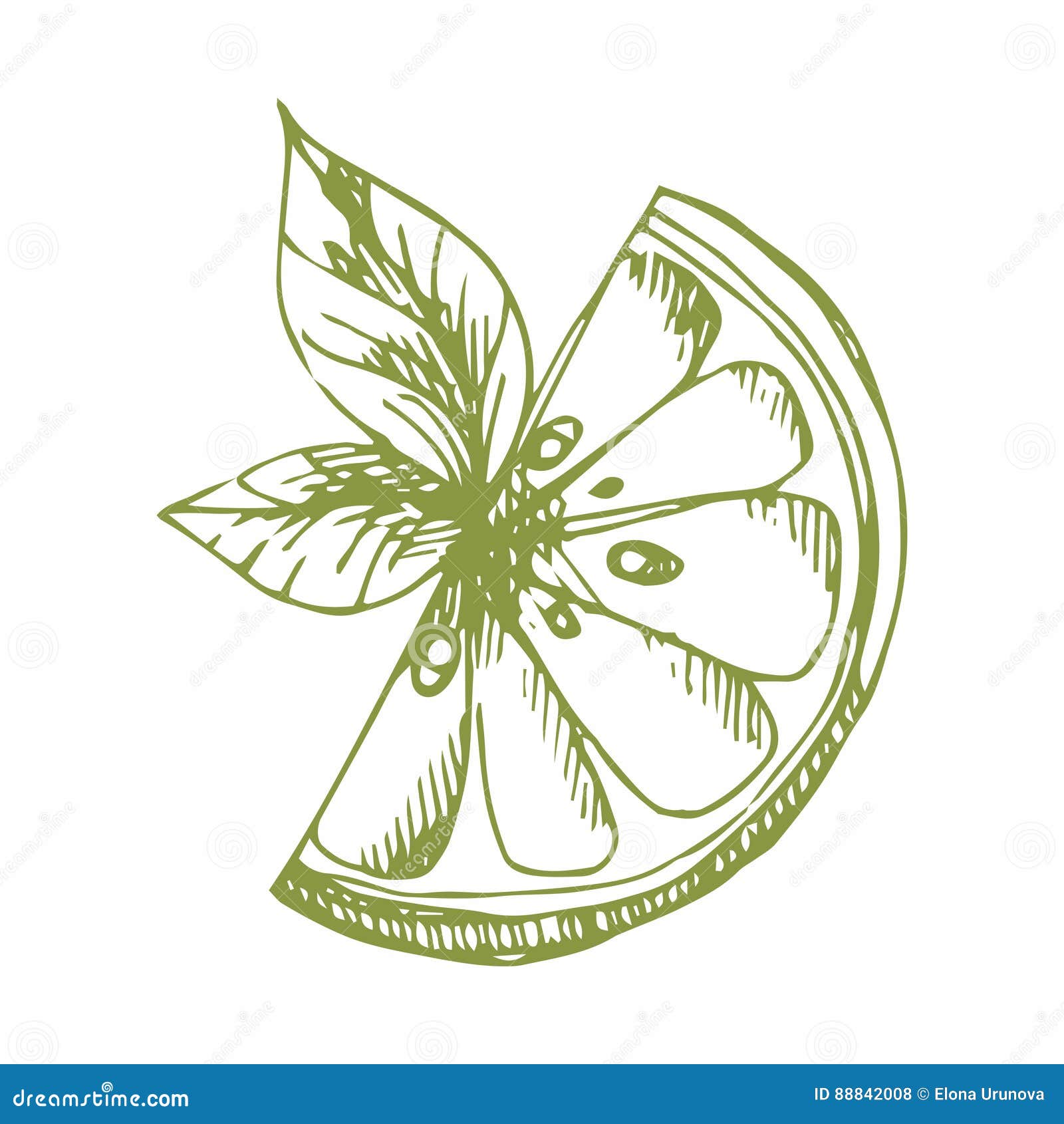 Lemon Hand Drawn Marker Illustration. Fruit Sketch. Realistic Citrus ...