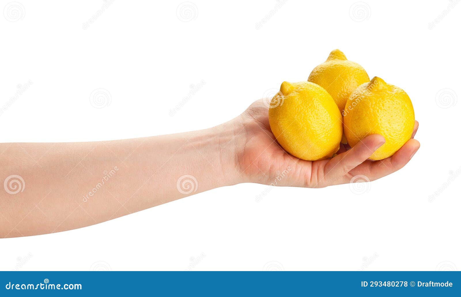 Lemon in hand stock photo. Image of antioxidant, yellow - 293480278