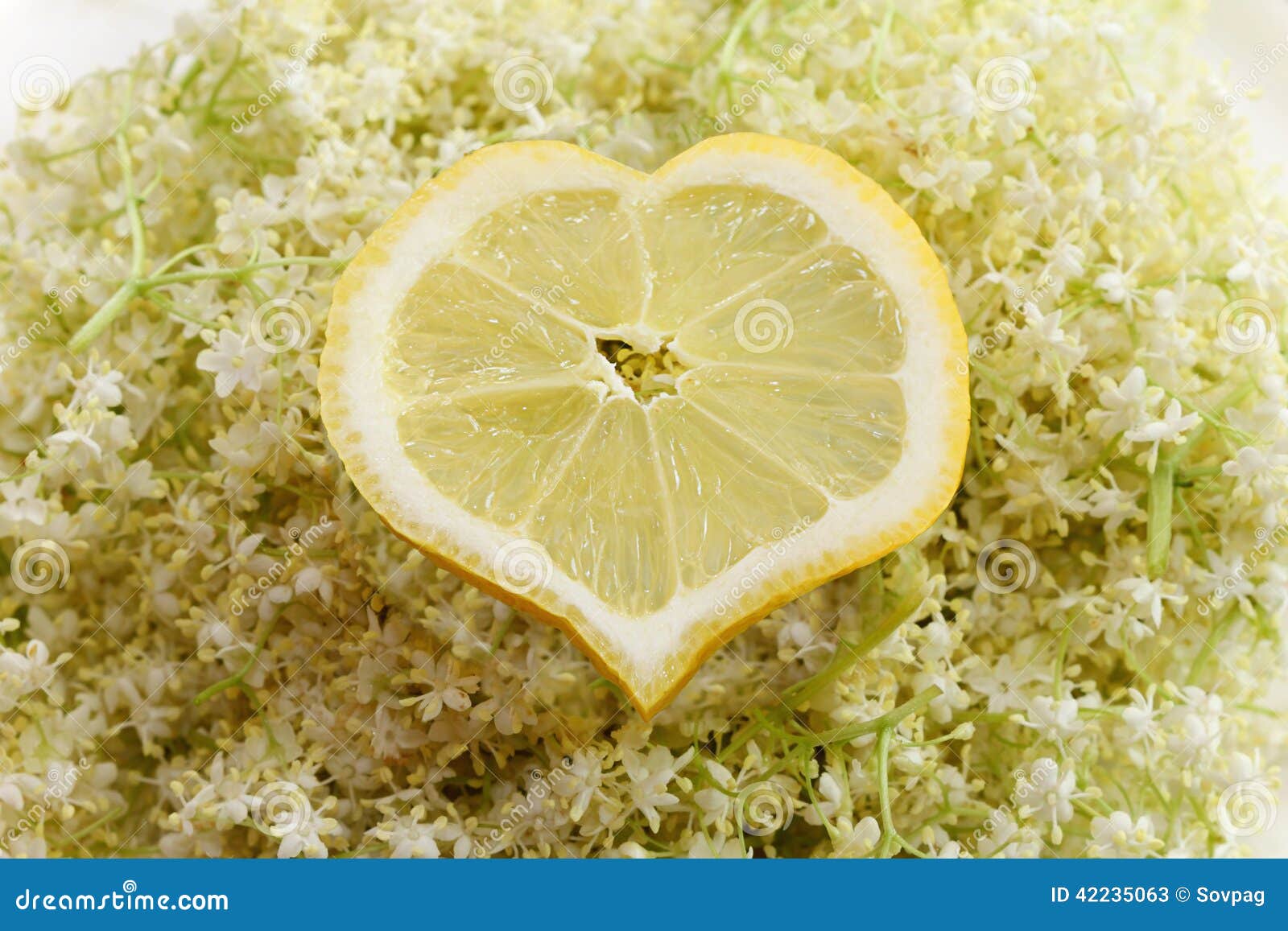 Lemon heart stock image. Image of citrus, juice, lemon - 42235063