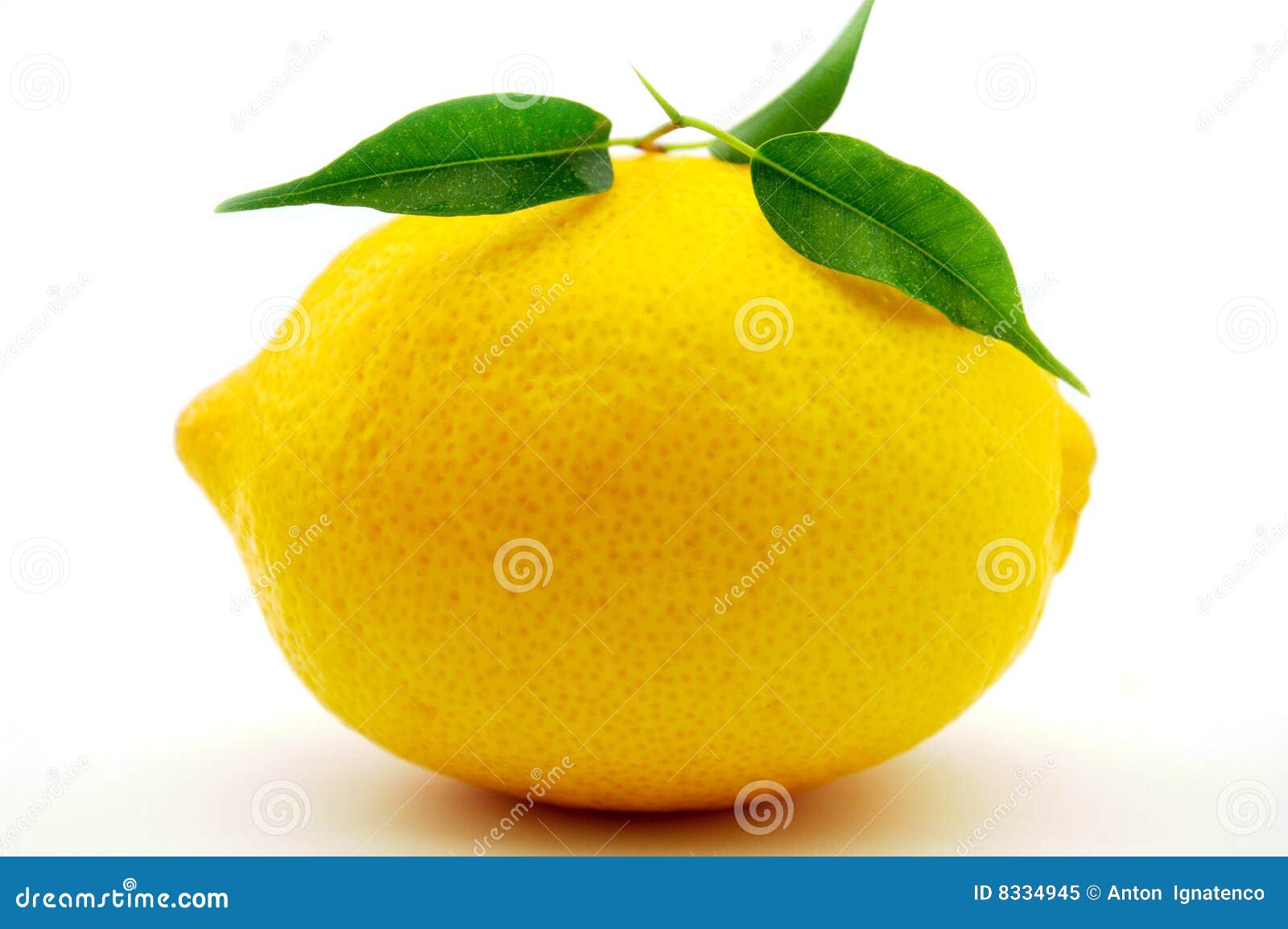 Lemon and his leaves stock image. Image of vitamin, vegetarian - 8334945
