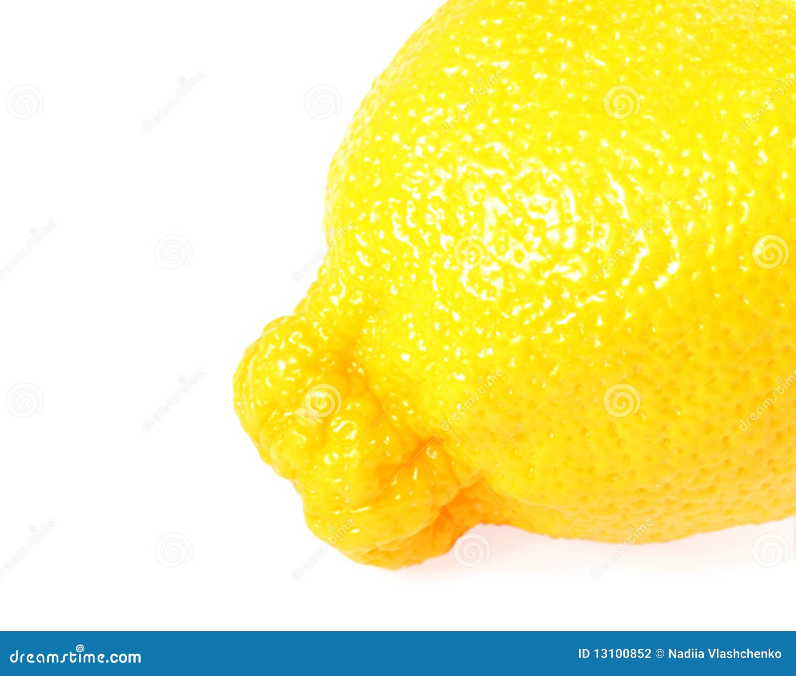 Lemon isolated stock photo. Image of white, juicy, citrus - 13100852