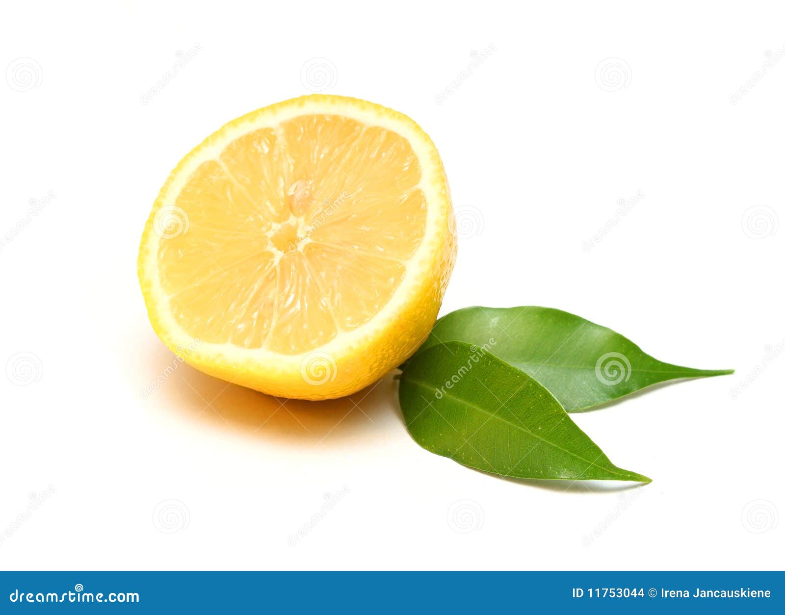 Lemon isolated on white stock photo. Image of breakfast - 11753044