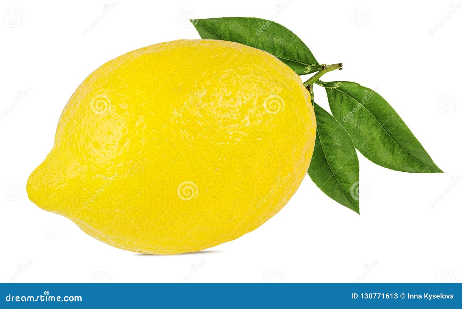 Lemon isolated on white stock image. Image of isolated - 130771613