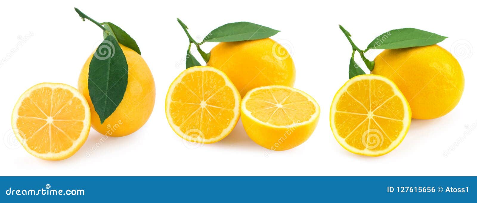 Lemon on white stock photo. Image of leaf, organic, fresh - 127615656