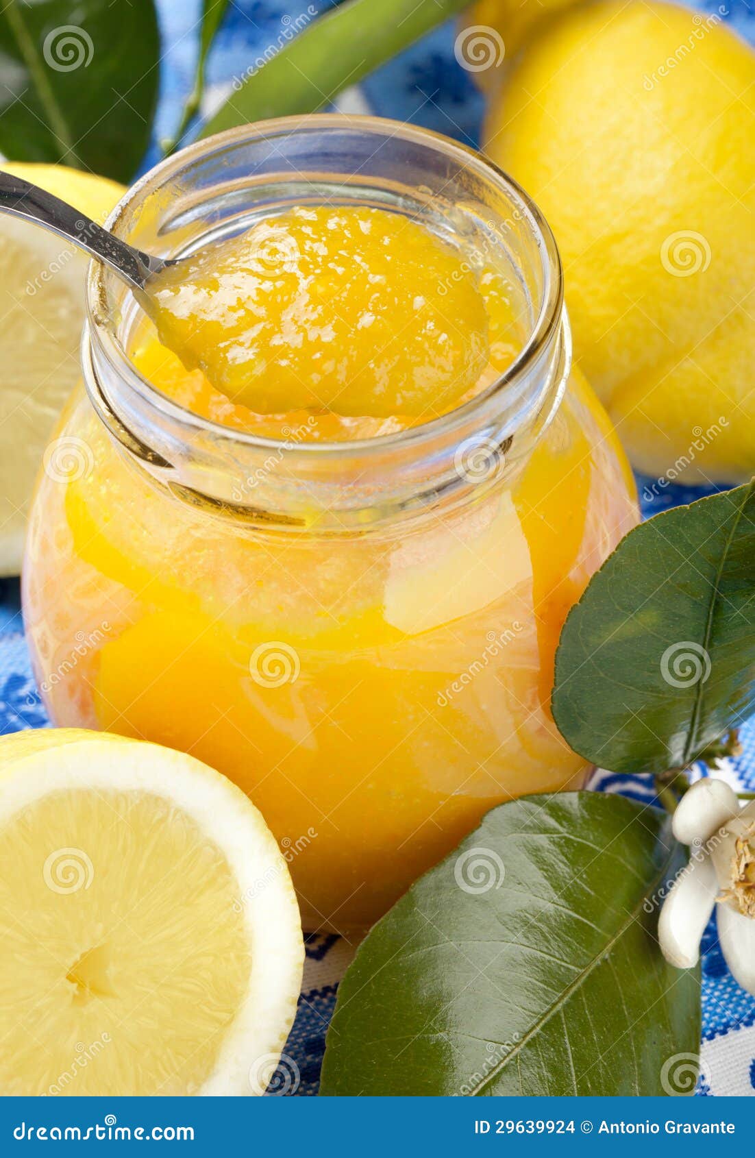 Lemon jam stock photo. Image of beautiful, fruit, juicy - 29639924