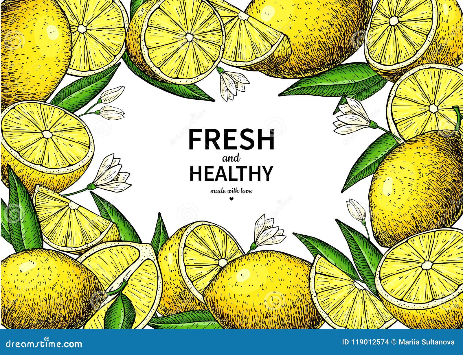 Lemon Label Vector Drawing. Citrus Fruit Frame Template Stock Vector ...
