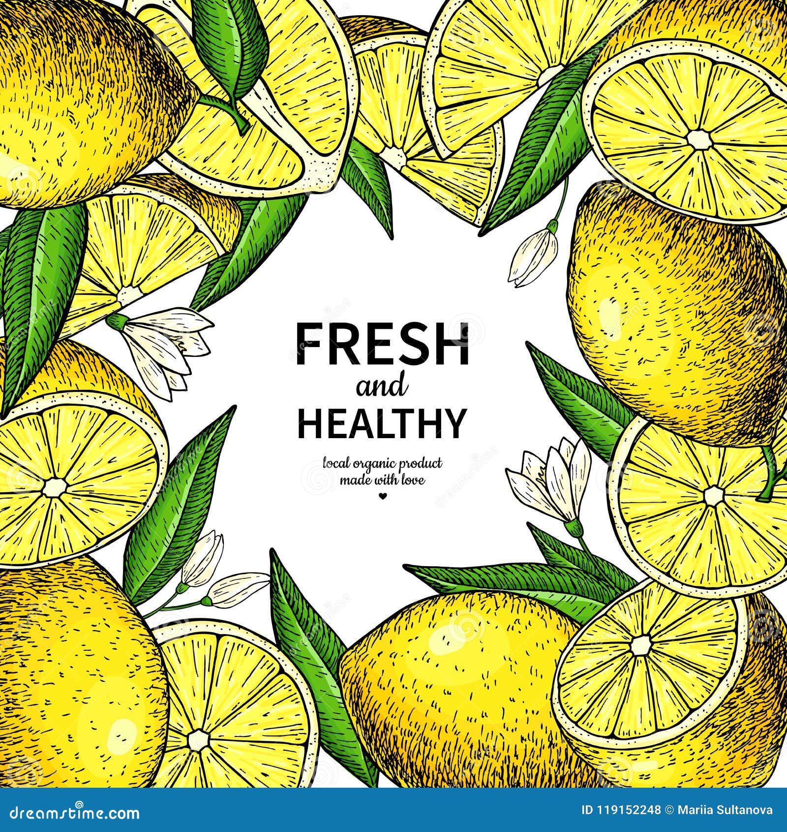 Lemon Label Vector Drawing. Citrus Fruit Frame Template ...