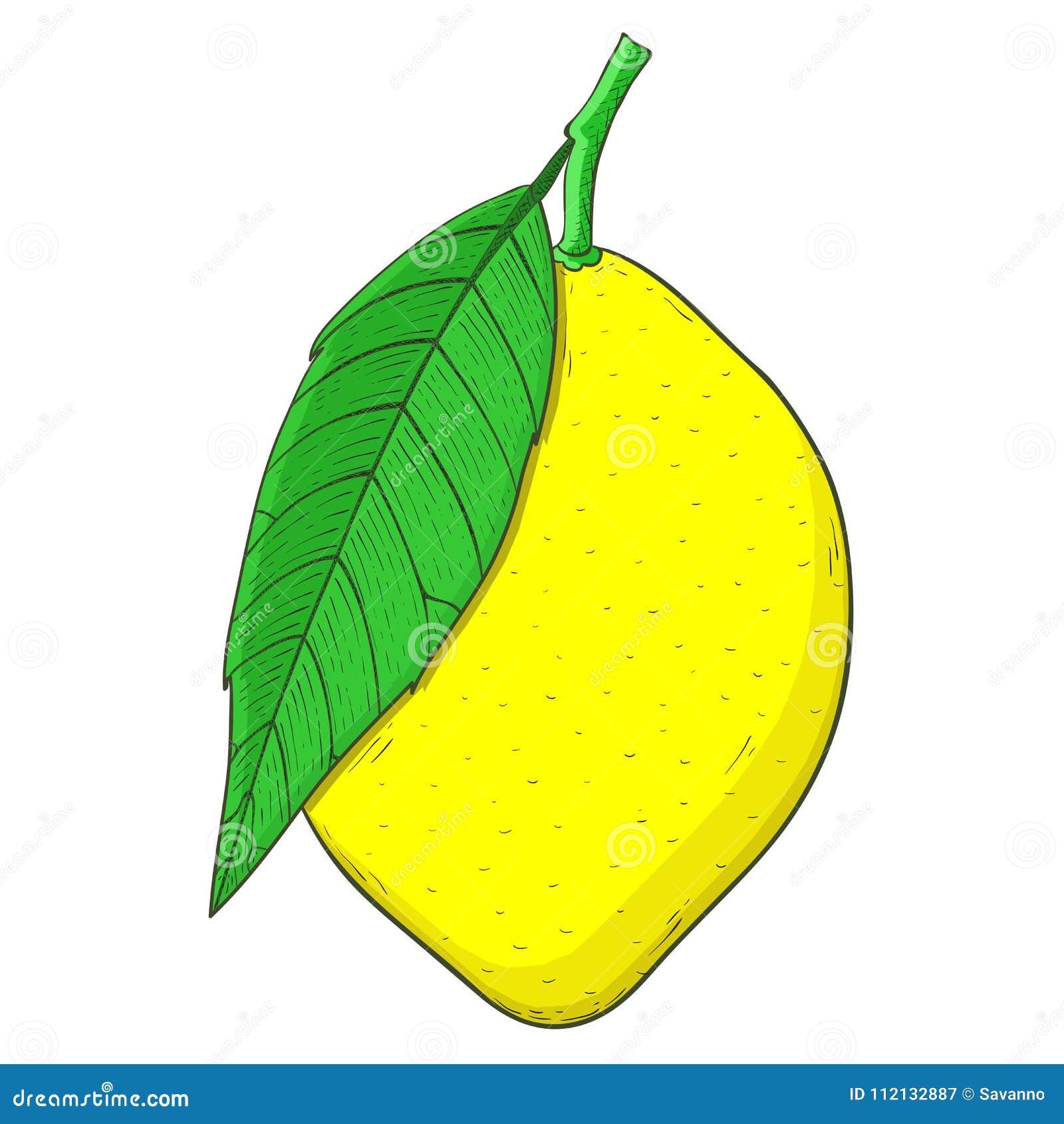 Lemon with Leaf. Colored Hand Drawn Sketch Stock Vector - Illustration ...
