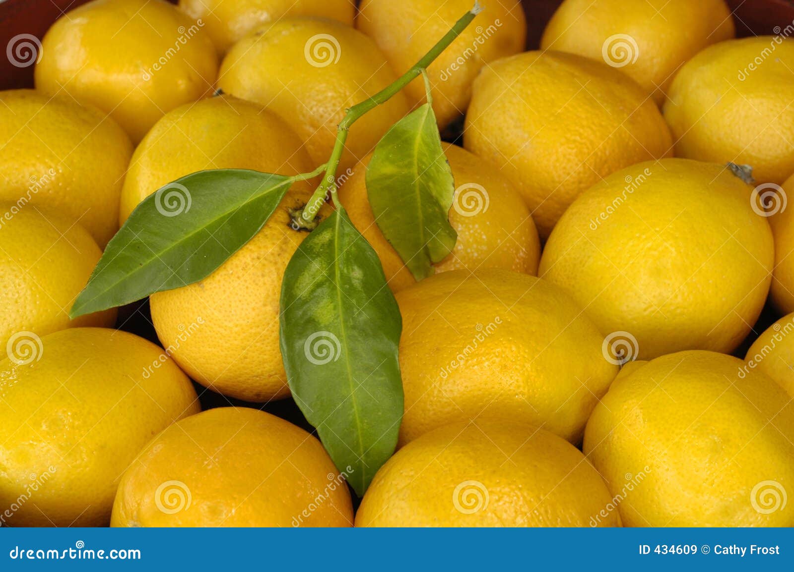 Lemon with Leaf & Friends Stock Image - Image of fruit, leaf: 434609