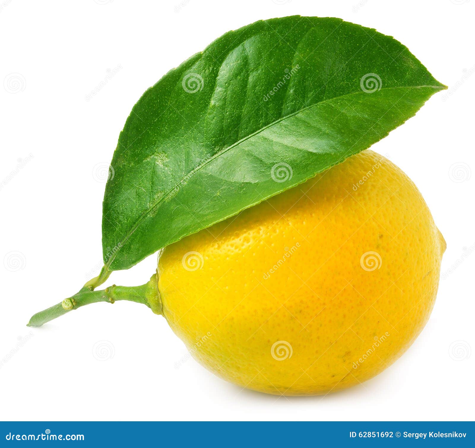 Lemon with Leaf Isolated on White Stock Photo - Image of bunch, foliage ...