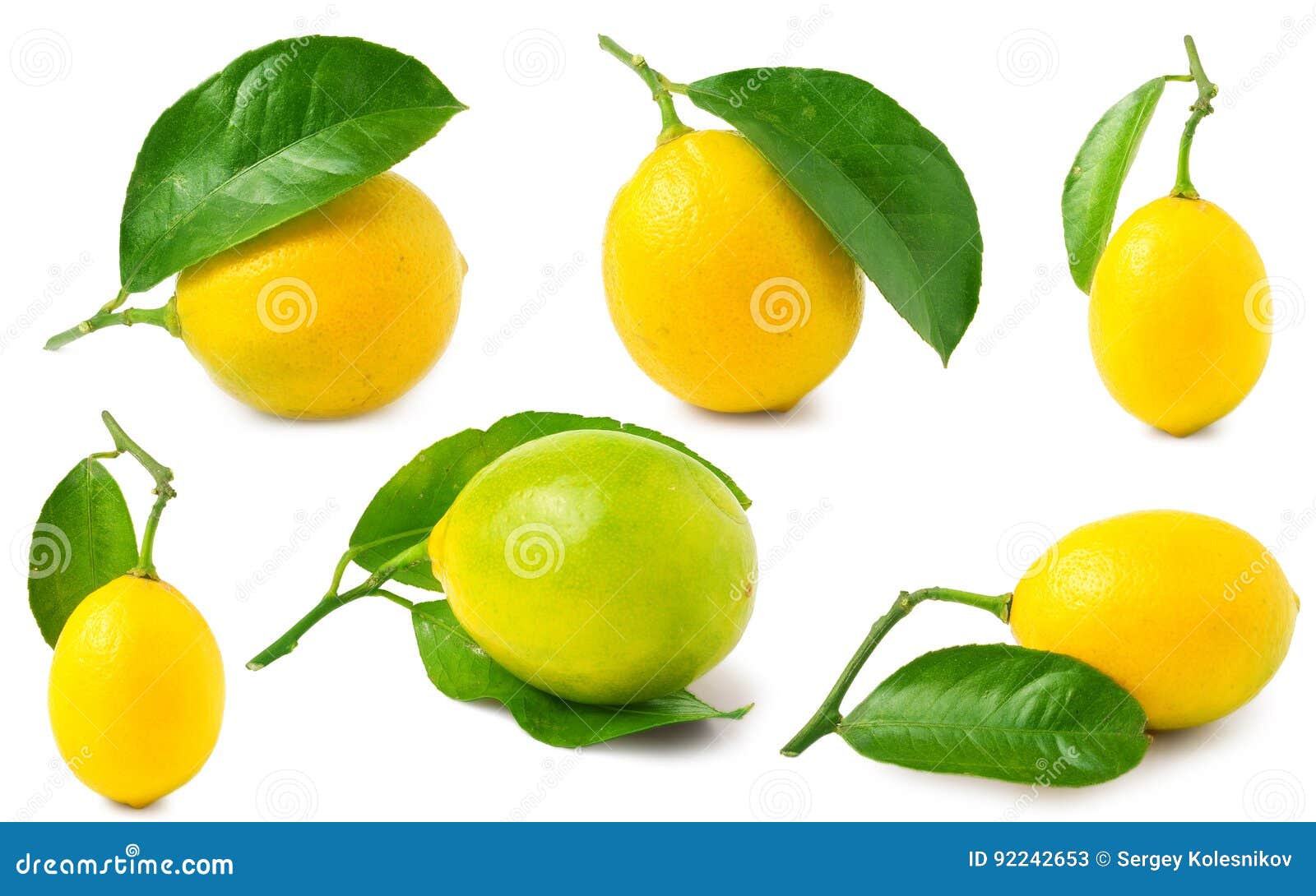 Lemon with Leaf Isolated on White Background. Set or Collection Stock ...