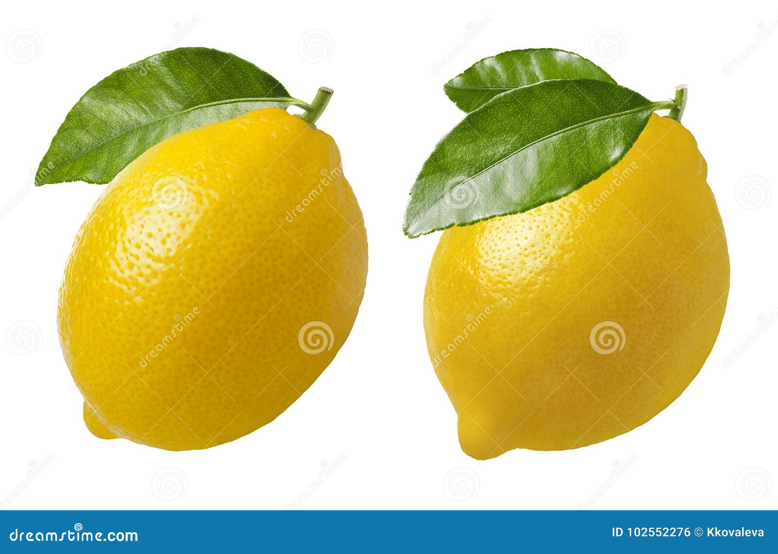 Lemon with Leaf Set Isolated on White Stock Photo - Image of option ...