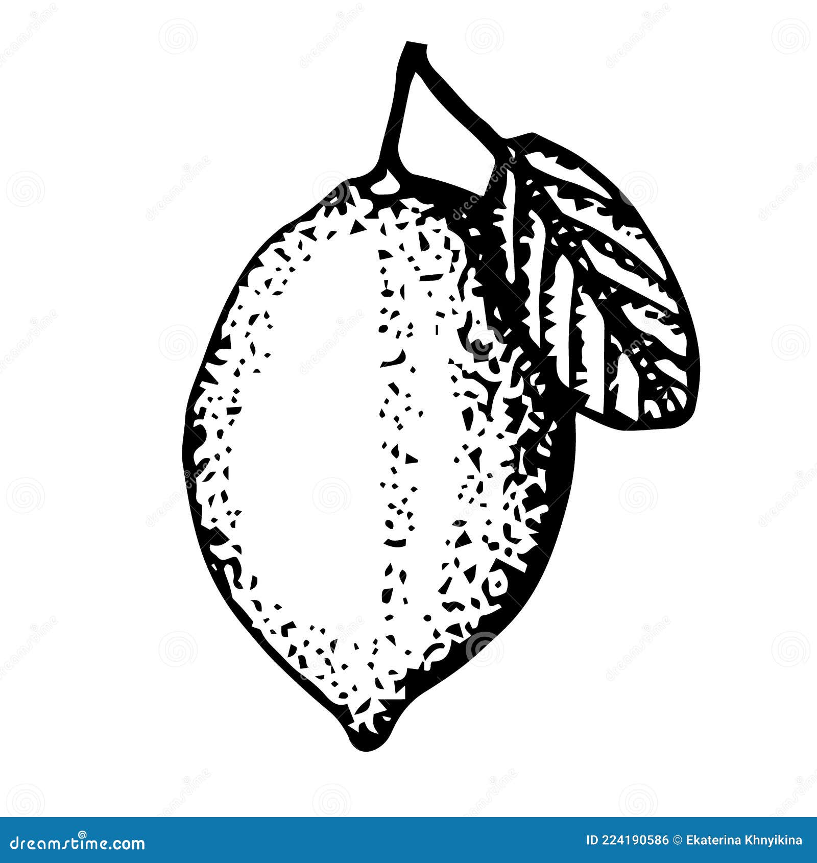 Lemon with a Leaf, Vector Illustration, Hand Drawing Sketch Stock ...