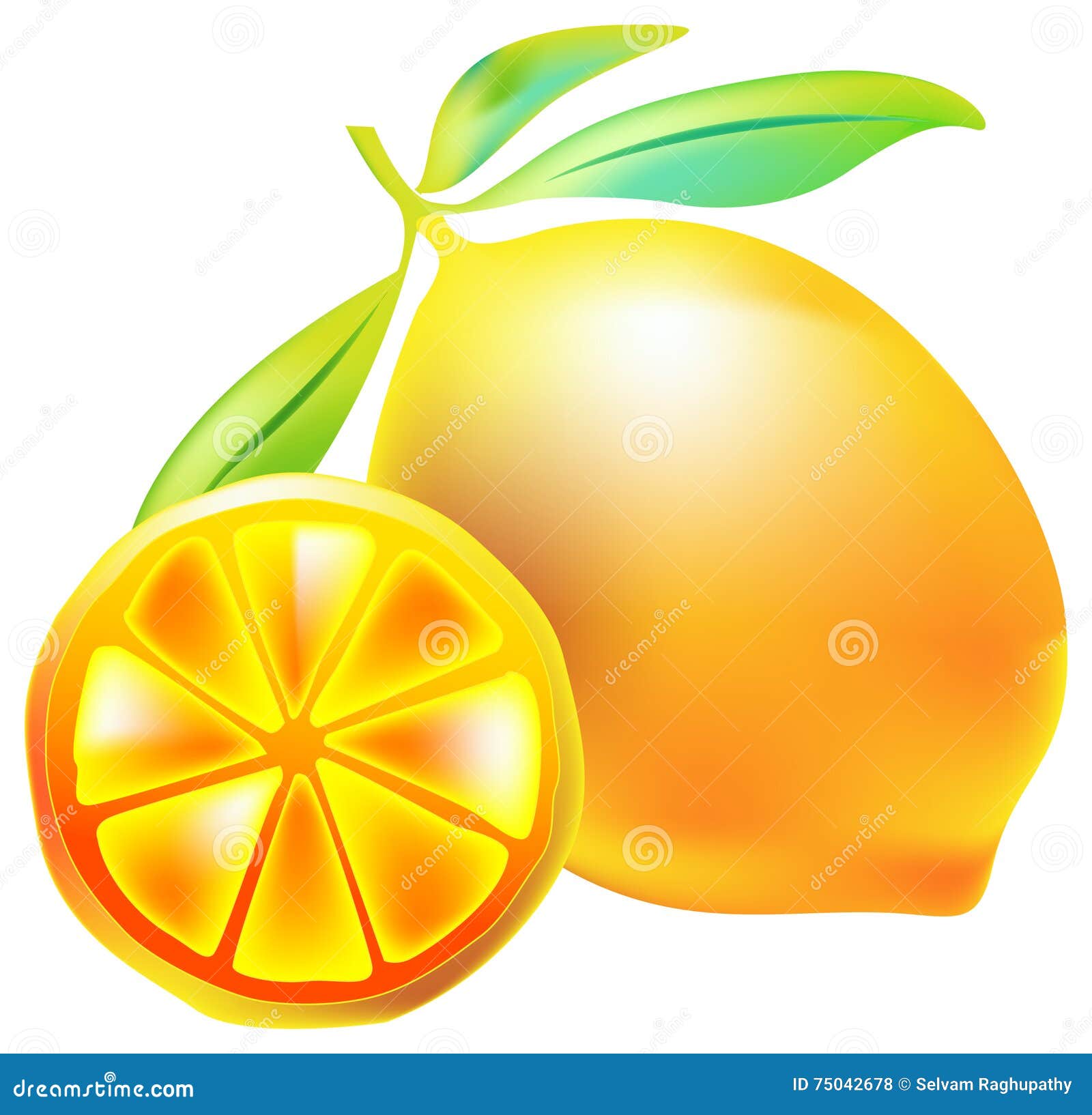 Lemon Leaves Illustration | CartoonDealer.com #90570145
