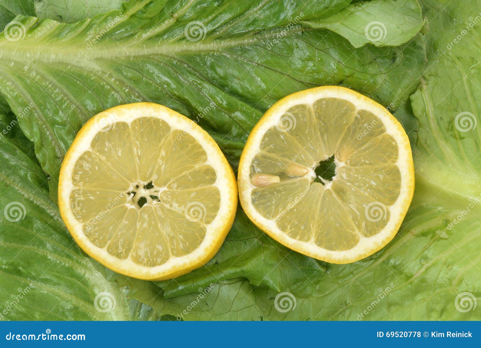 Lemon and Lettuce stock photo. Image of diet, healthy - 69520778