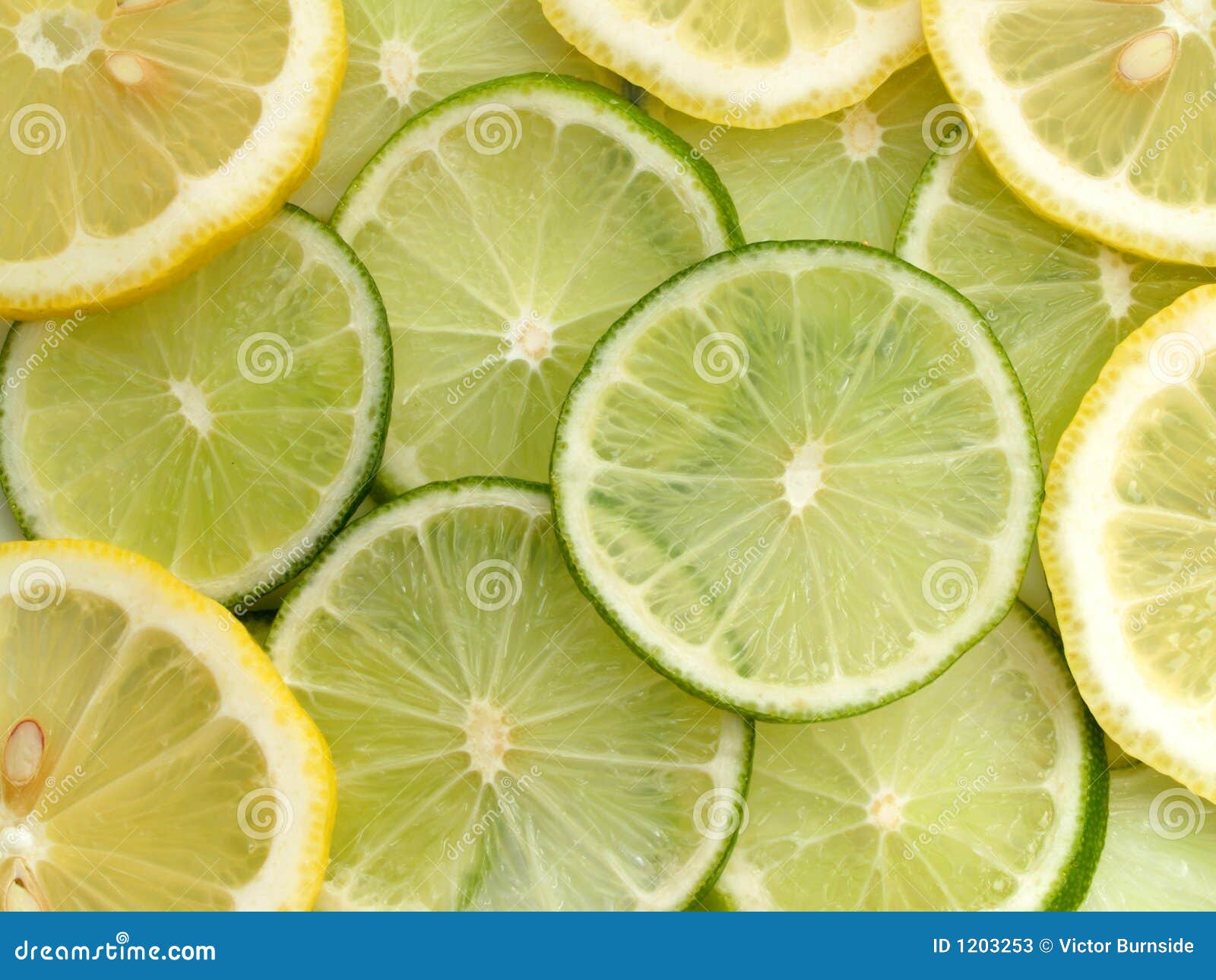 Lemon and Lime stock image. Image of fresh, fruit, rings - 1203253
