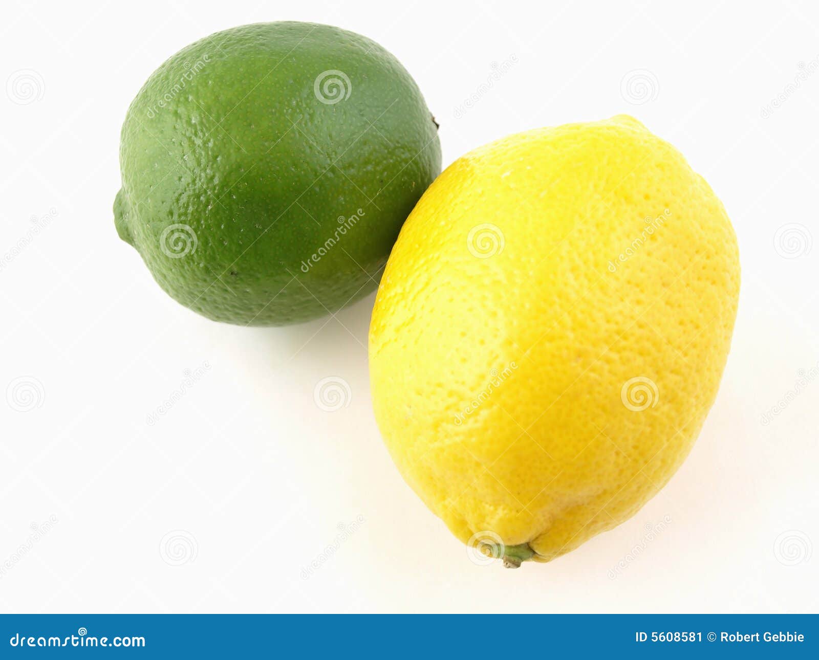 Lemon Lime Citrus Pair stock image. Image of ingredient - 5608581