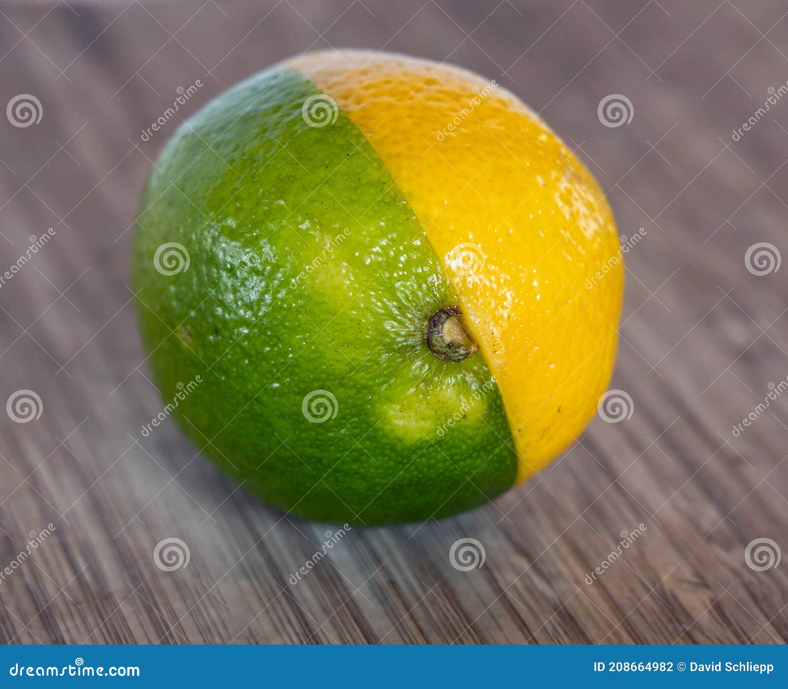 Lemon and Lime stock photo. Image of lemon, fuse, fusion - 208664982
